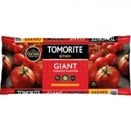 EVERGREEN | LEVINGTON | TOMORITE | GIANT PLANTER WITH SEAWEED